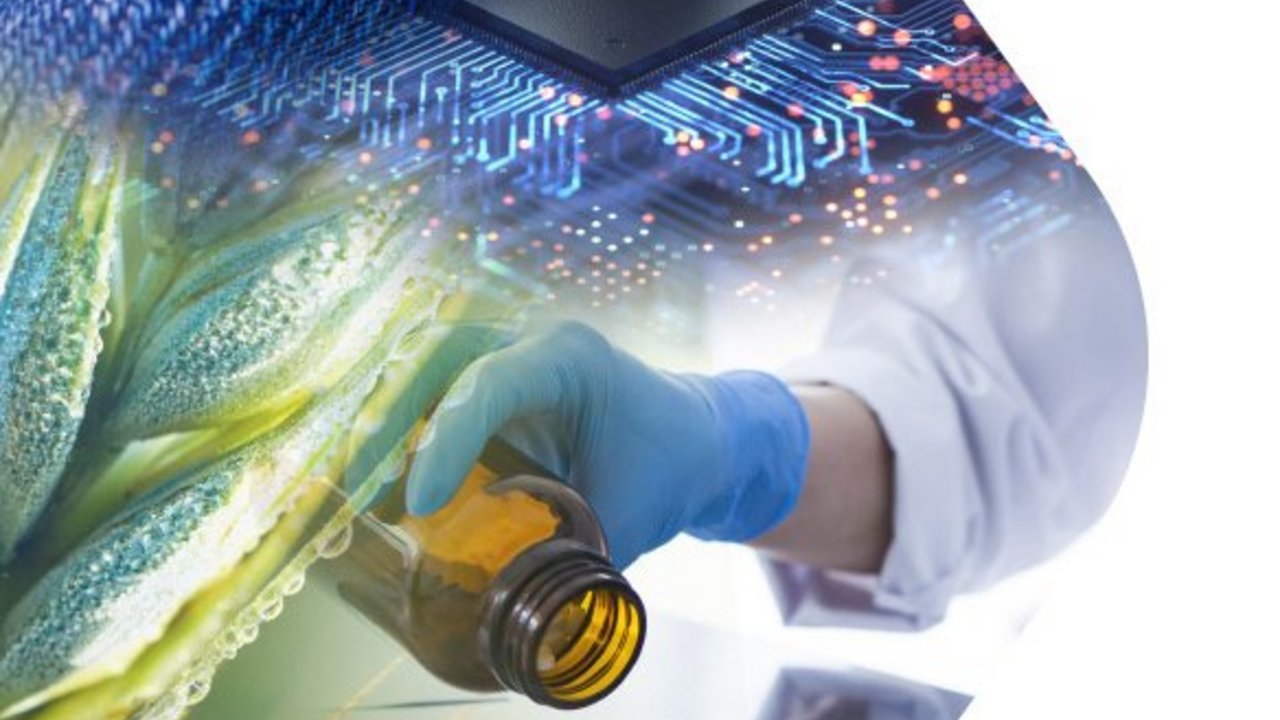Rebranding of Alzchem – our DICYANDIAMIDE with a new look | Alzchem Group