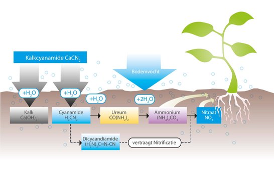 Perlka® | Alzchem Group