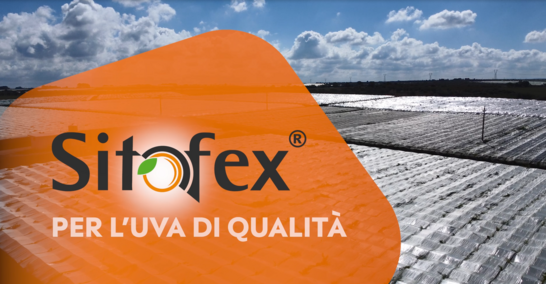 Sitofex® | Alzchem Group